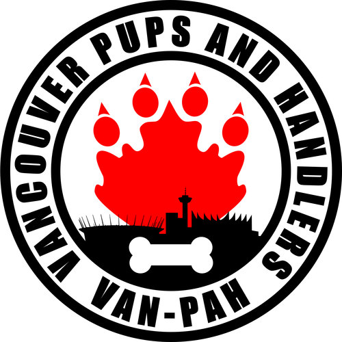 Other Puppy/Handler Groups – North Star Kennel Club
